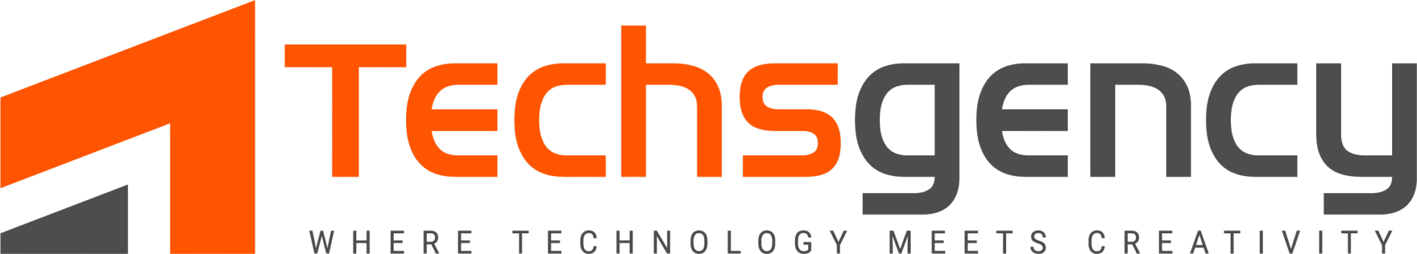 Techsgency IT Institute